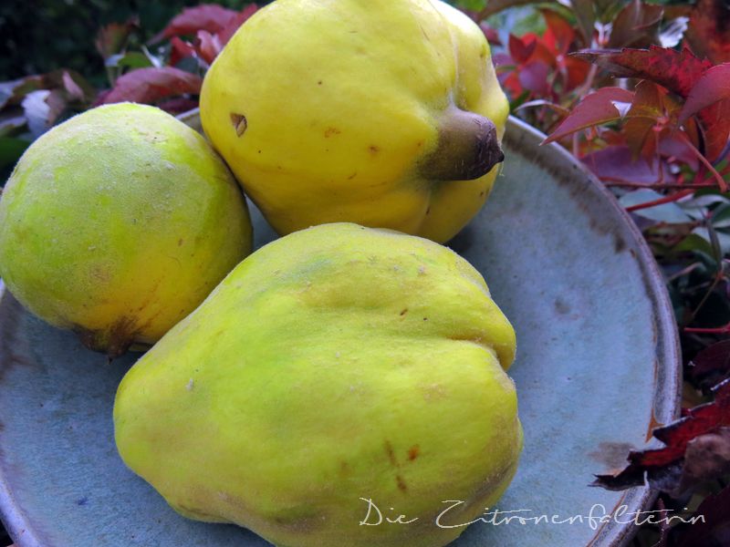 Leckere Herbstsuppe mit Kürbis und Quitte {Den Herbst feiern} - Die ...